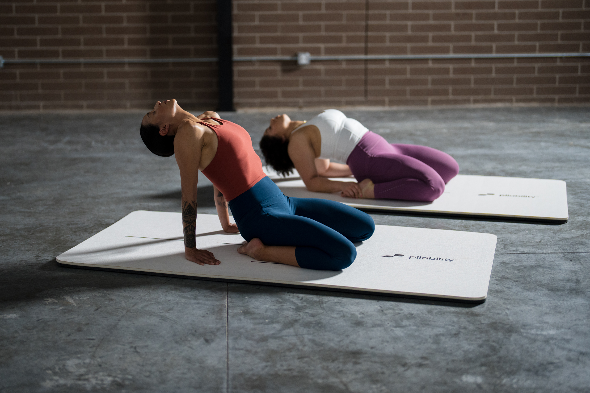 pliability | 15 Effective Seated Stretches for Flexibility & Comfort